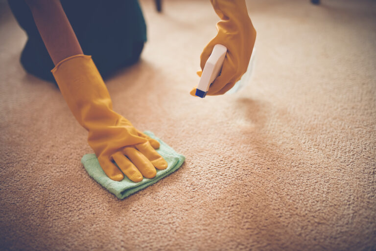 A Guide to Different Stain Types and Removal Techniques - Apple Clean