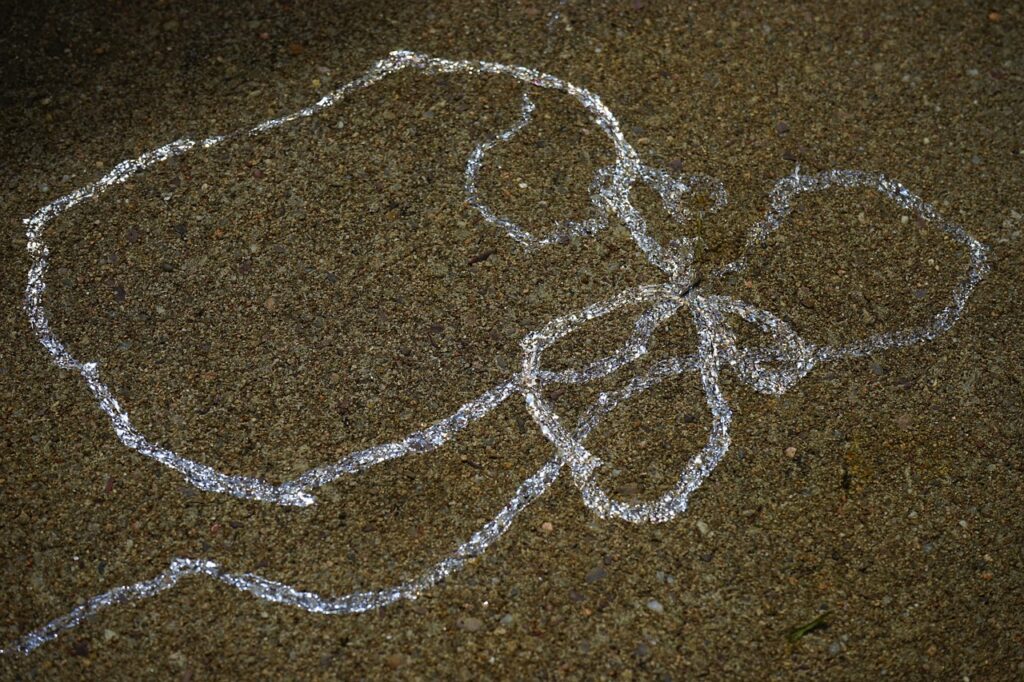 6 Steps To Deal With Snail Trails On Your Carpet - Apple Clean